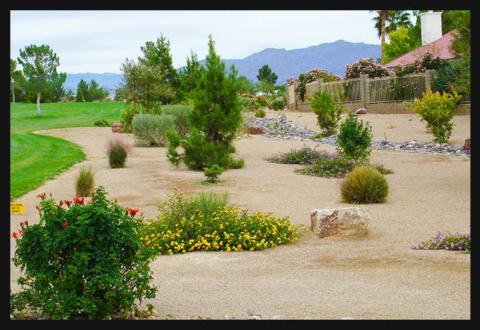 SB Landscaping & Design | Gallery